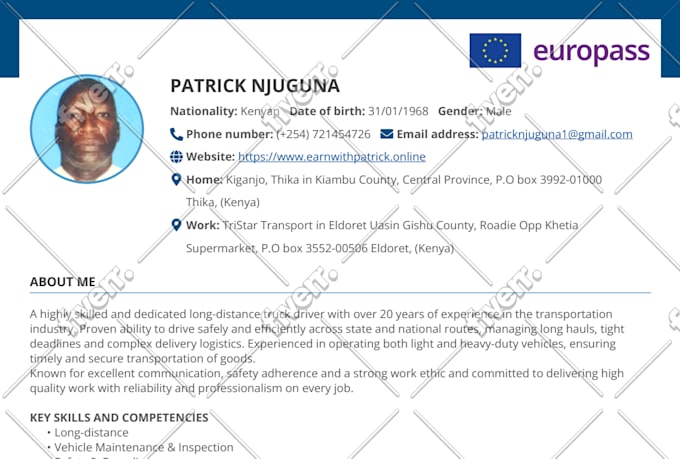 Write or edit your official europass cv by Hansa16 | Fiverr